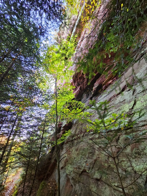 6 balades à faire à La Petite Pierre dans les Vosges du Nord